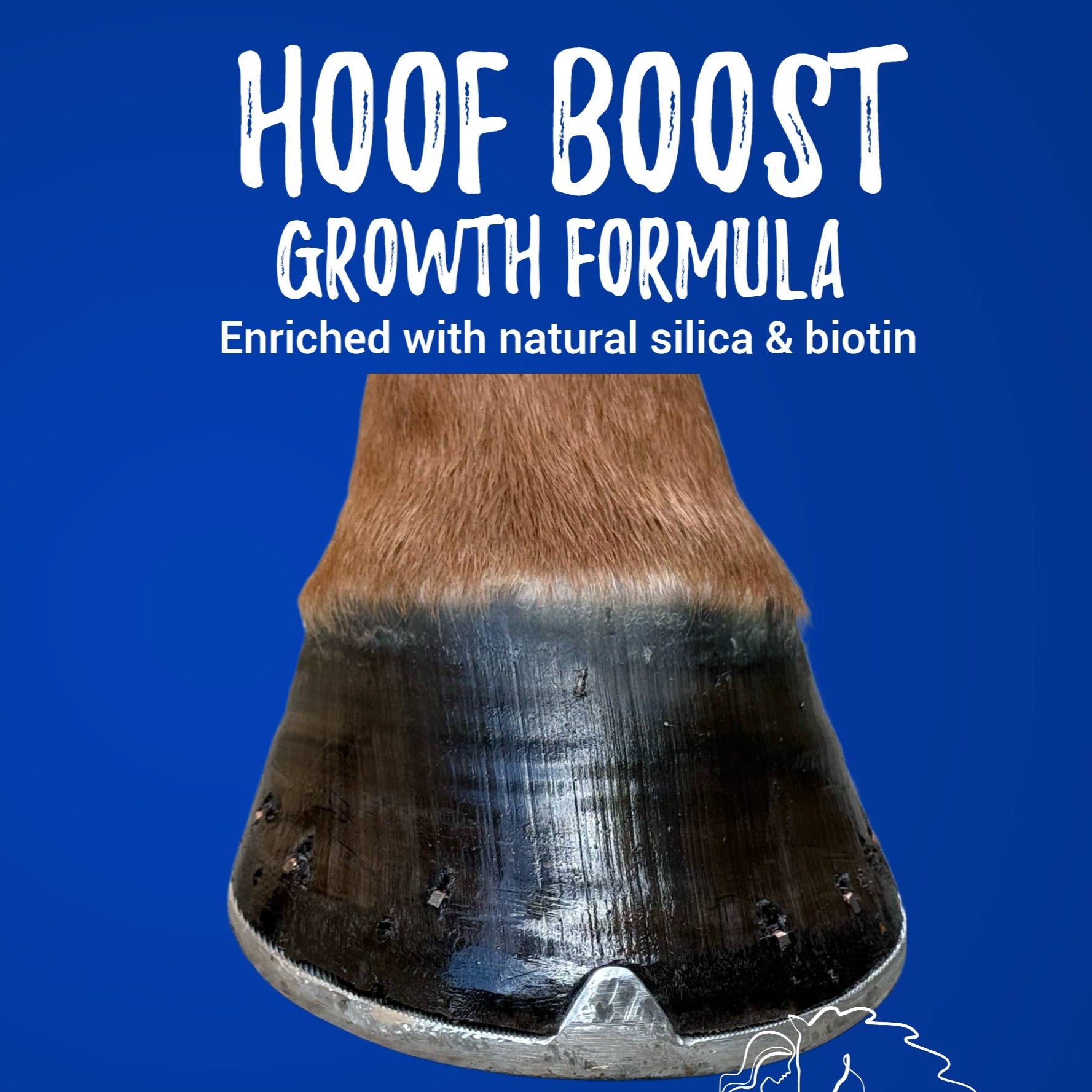 BPE Hoof Boost – Boston Park Equine